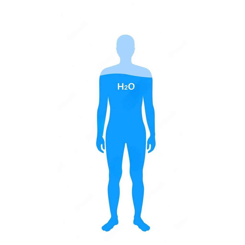 Lumiq™ | Hydrate & Heal With Hydrogen Rich Water On The Go – LUMIQ